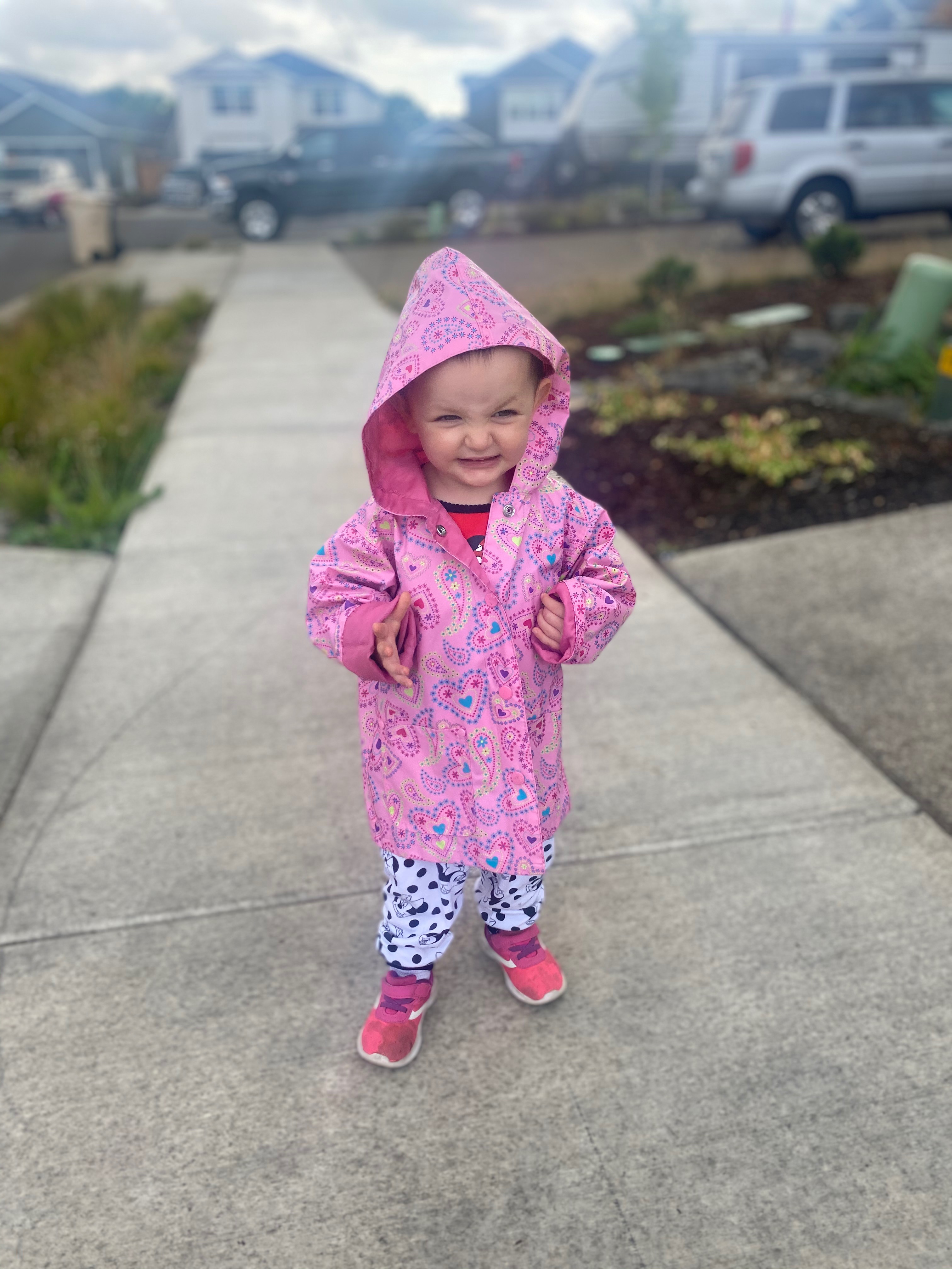 A Christian Manifesto | Dewey Bertolini